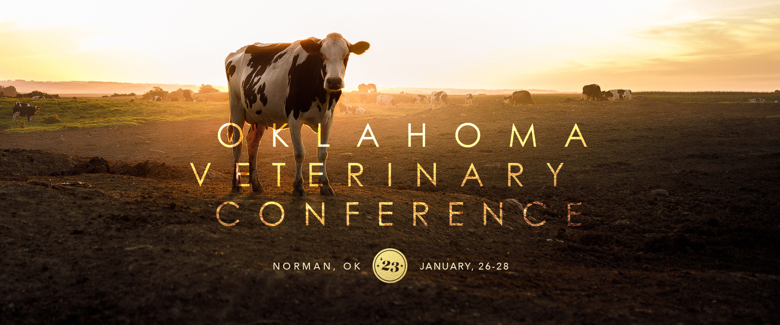 OVMA | Save the Date